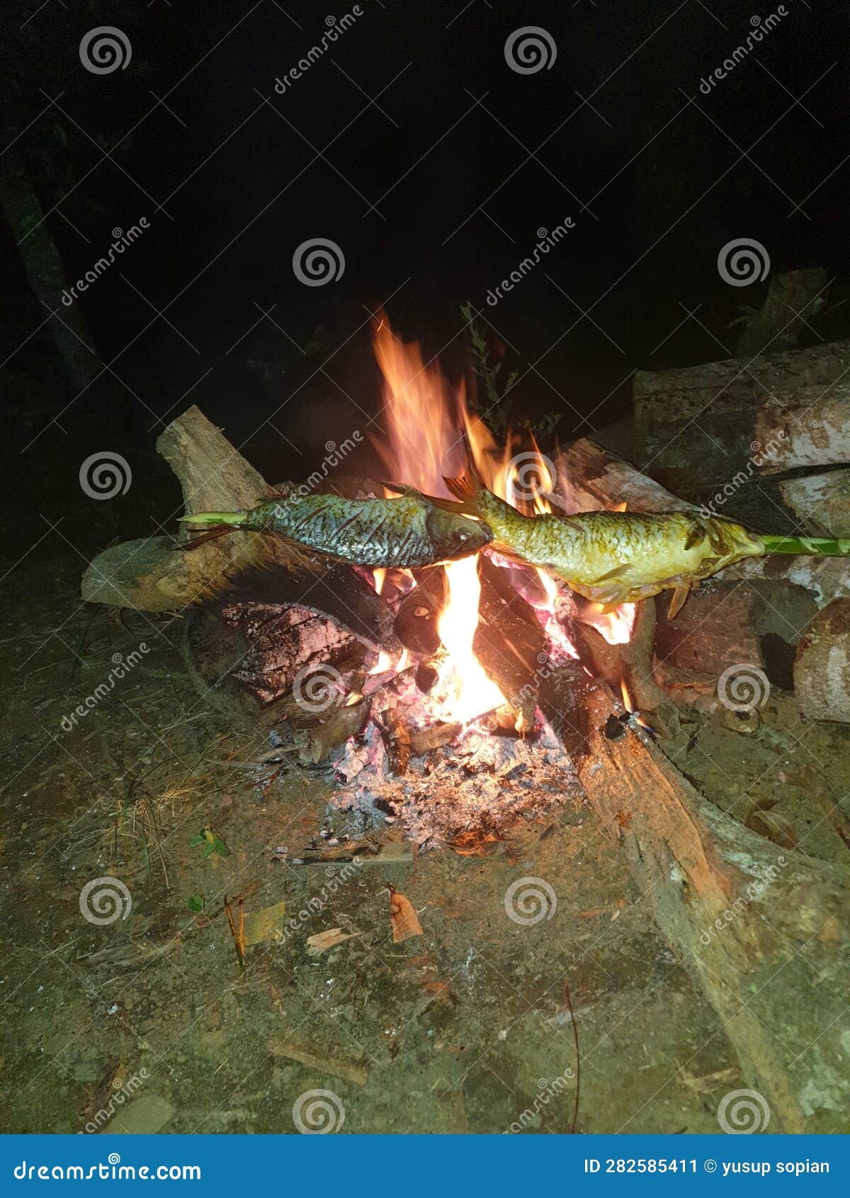 Grilled fish stock image. Image of fish, night, grilled - 282585411
