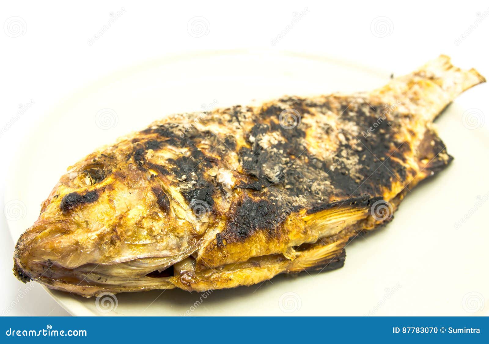 Grilled Fish with Salt and Black Burn Marks Stock Photo - Image of ...
