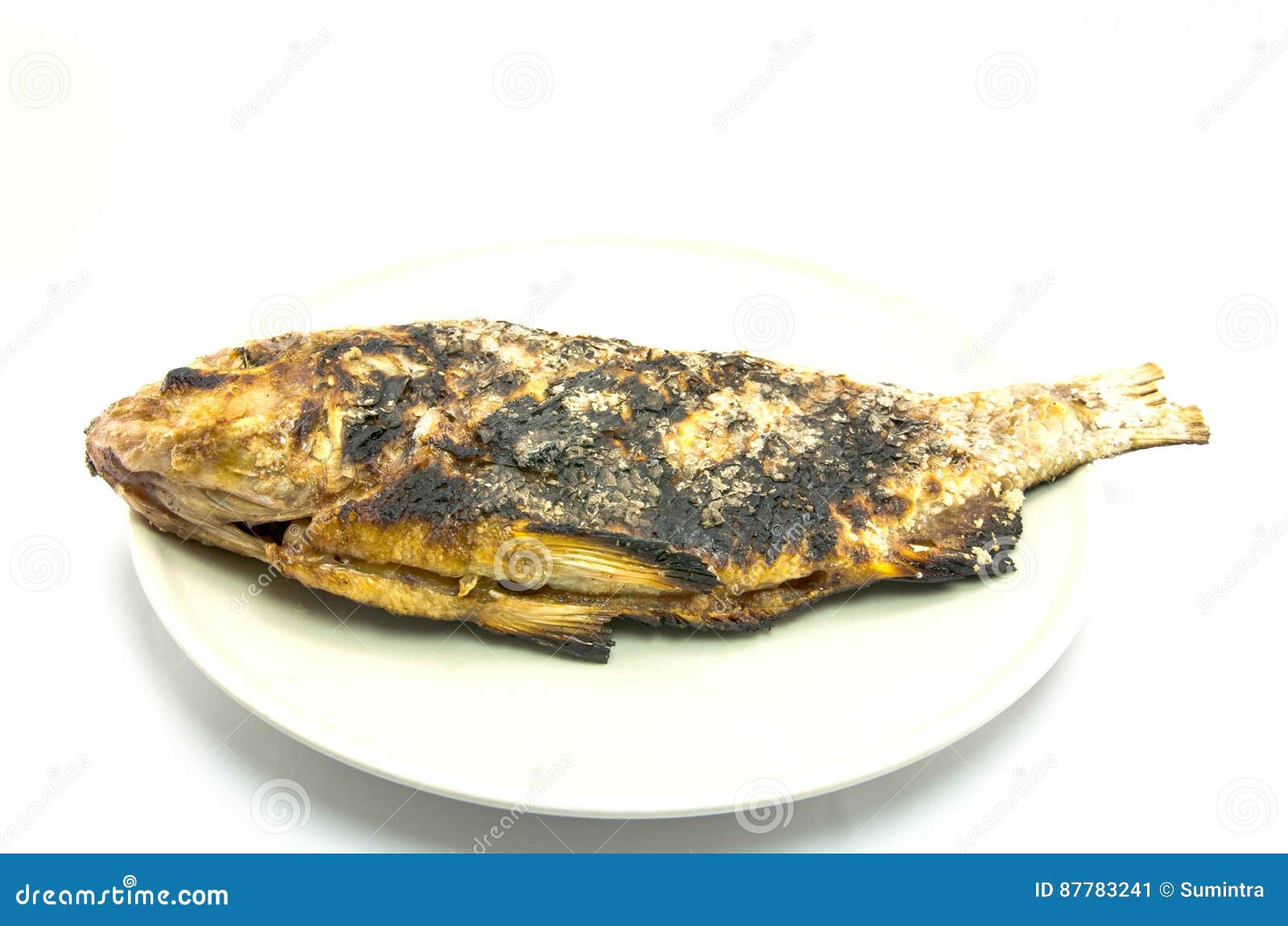 Grilled Fish with Salt and Black Burn Marks Stock Image - Image of ...