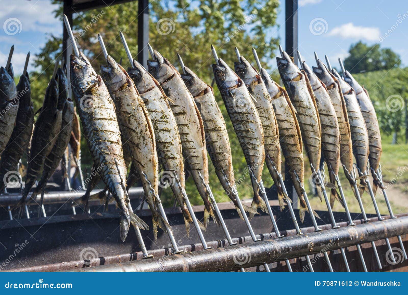 Grilled fish stock photo. Image of gourmet, mackerels - 70871612