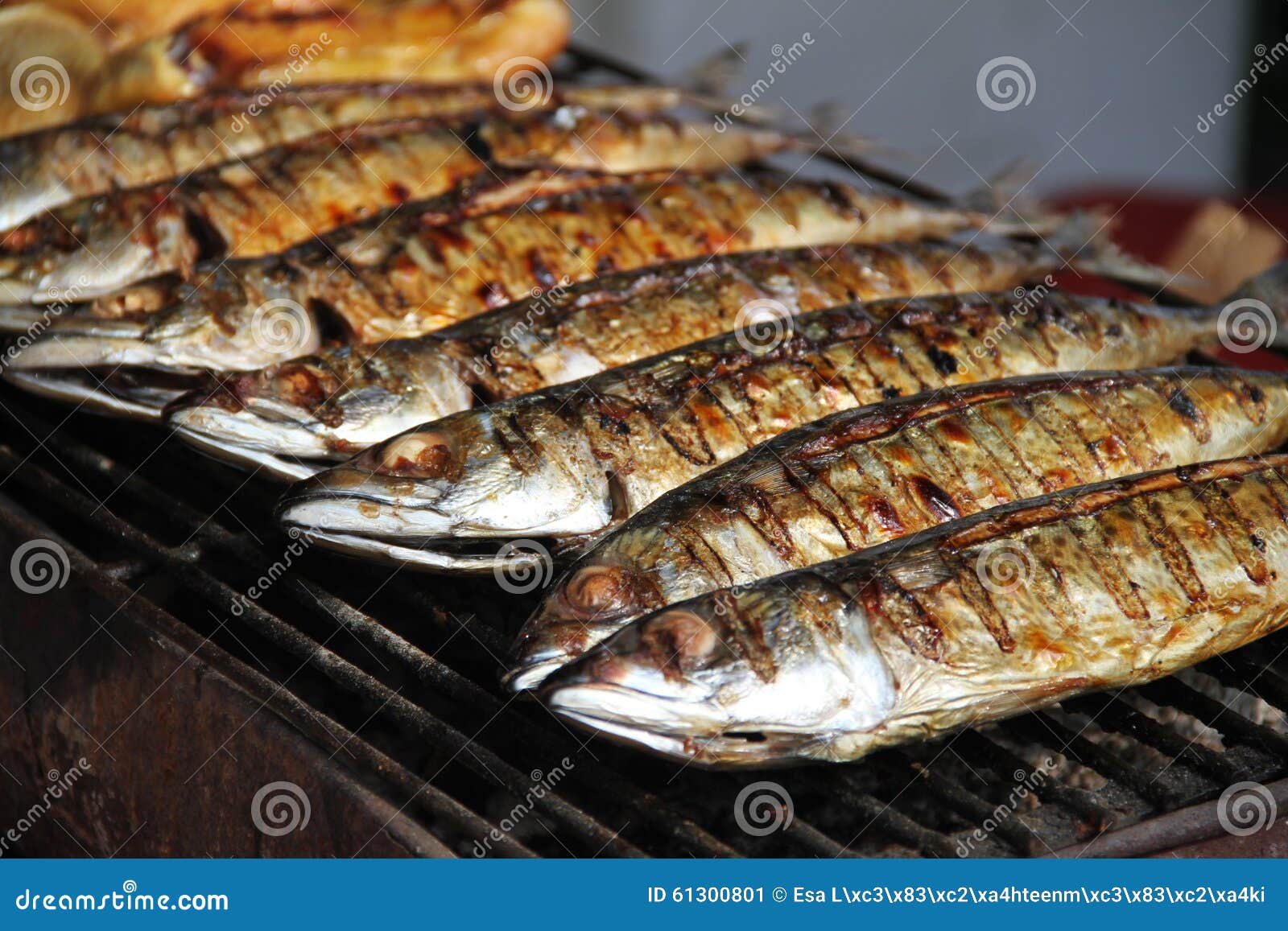 Grilled fish stock image. Image of lunch, fotoespe, delicious - 61300801