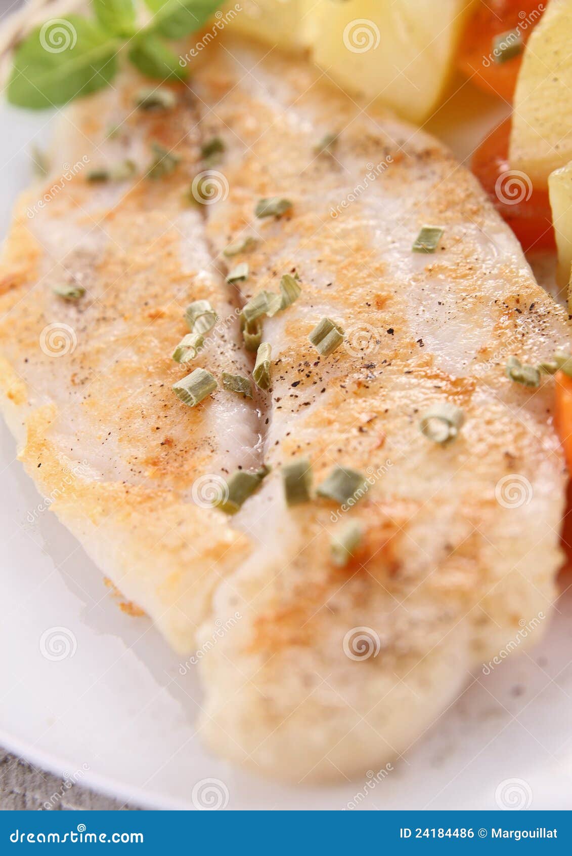 Grilled fish and vegetable stock photo. Image of recipe - 24184486