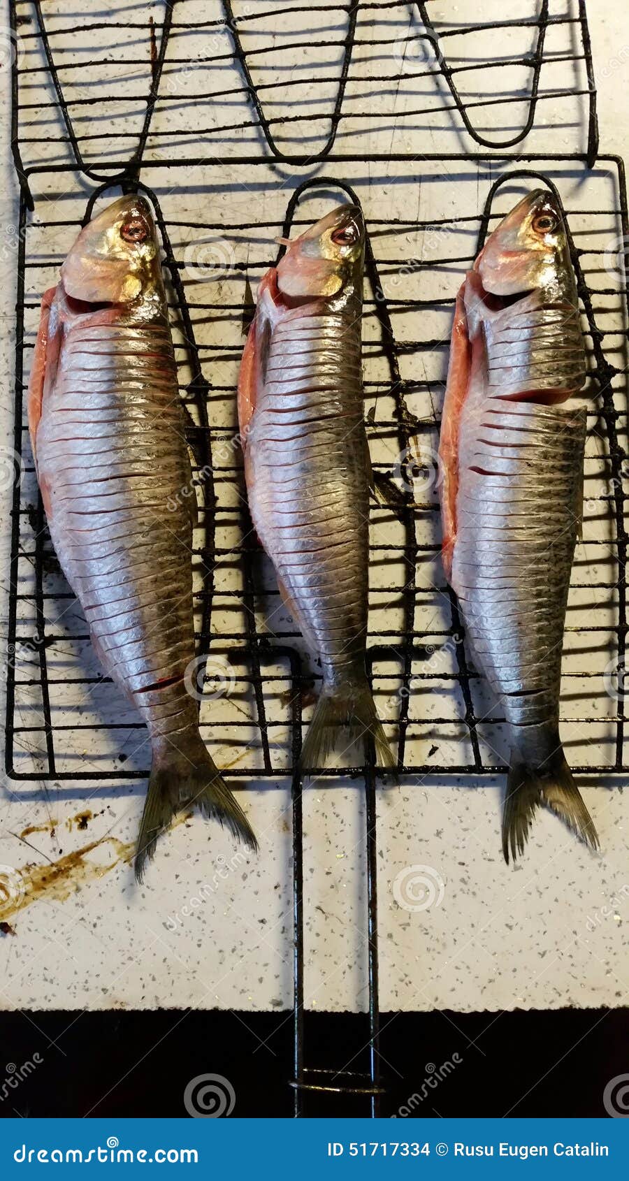 Grilled fresh fish stock photo. Image of prepared, dunarii - 51717334