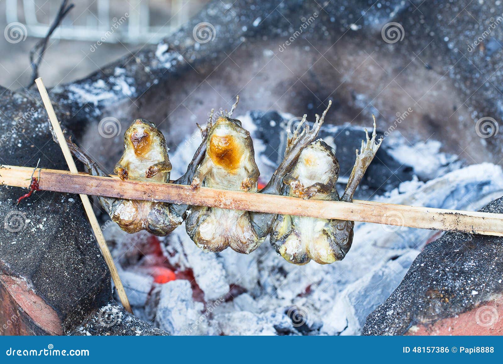 Grilled frog stock photo. Image of green, chop, grilled - 48157386
