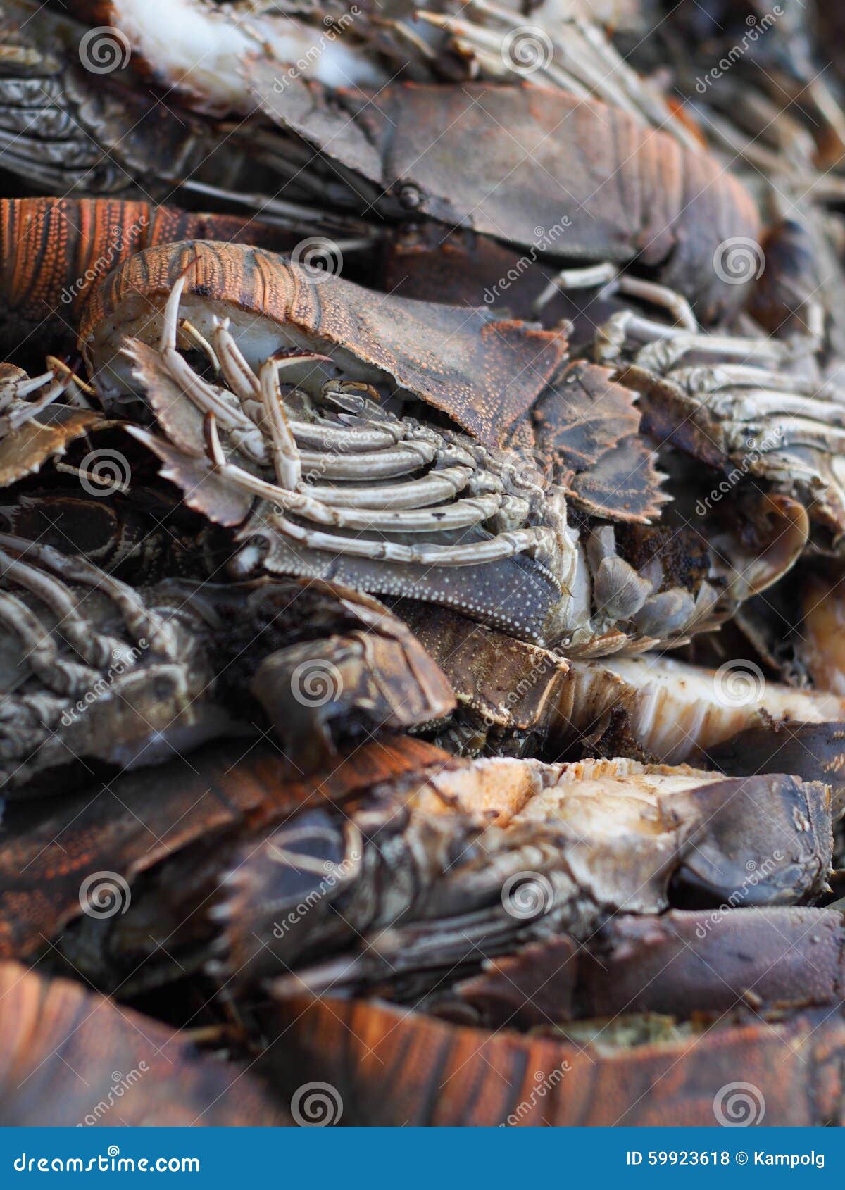 Grilled Giant Mantis Shrimp is Delicious Stock Photo - Image of giant ...