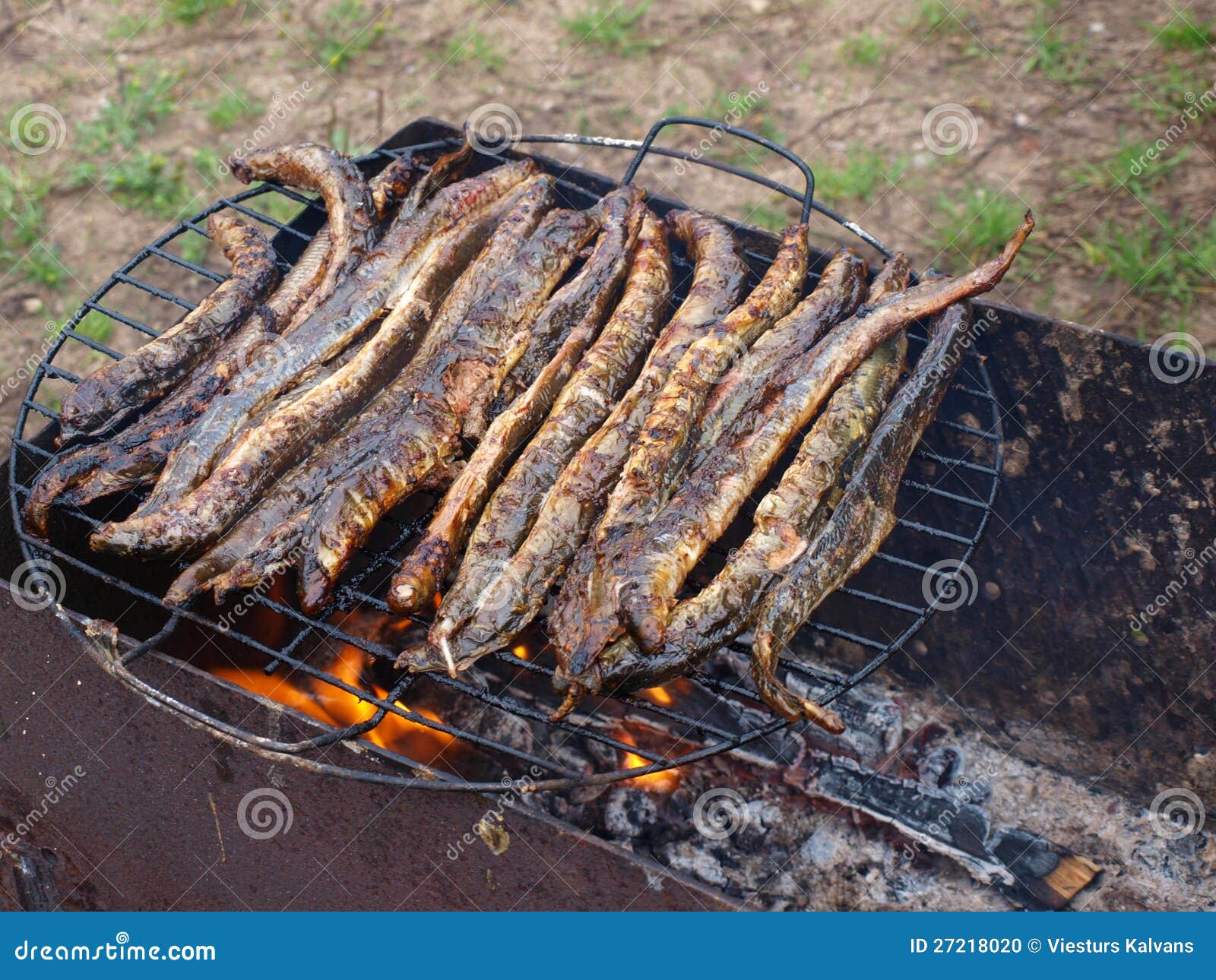 Grilled lamprey stock photo. Image of lamprey, dainty - 27218020