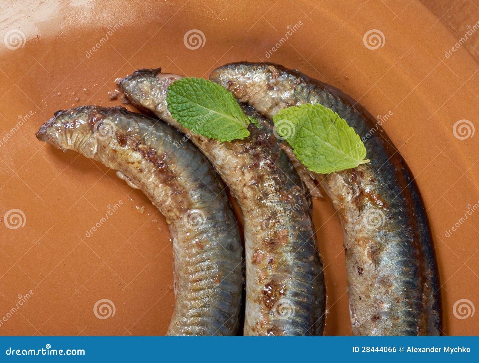 Grilled lamprey stock photo. Image of lamprey, cooked - 28444066
