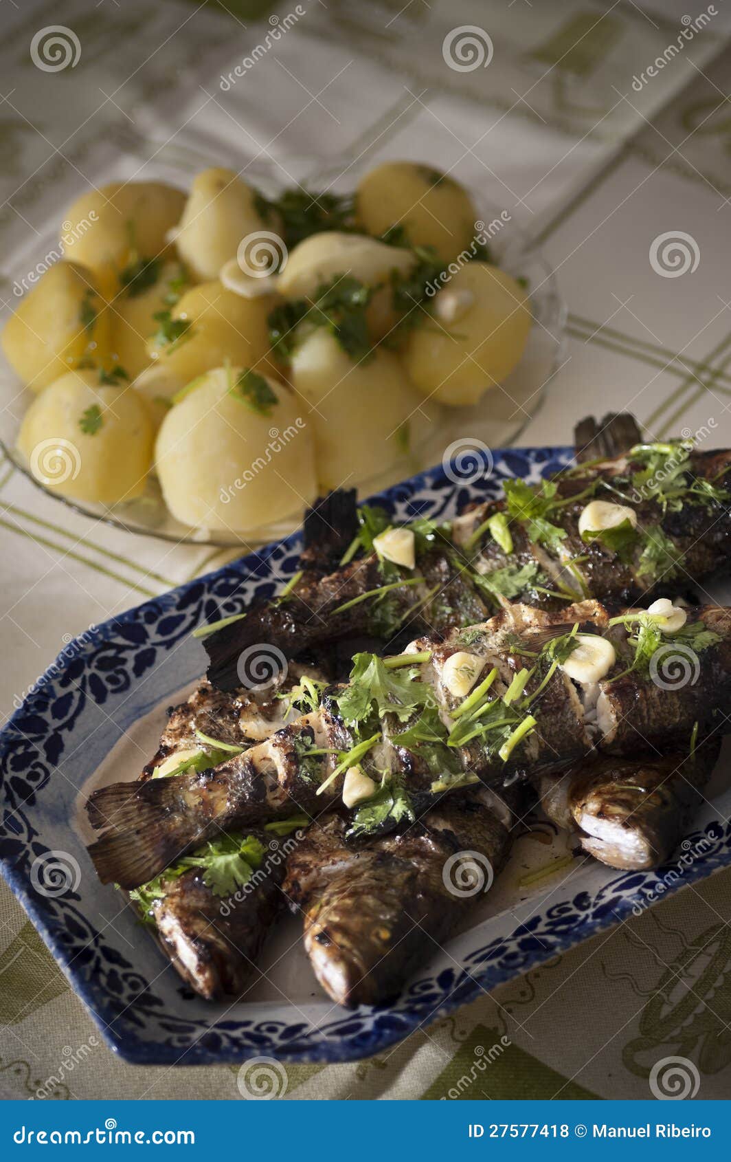 Grilled largemouth bass stock photo. Image of garlic - 27577418