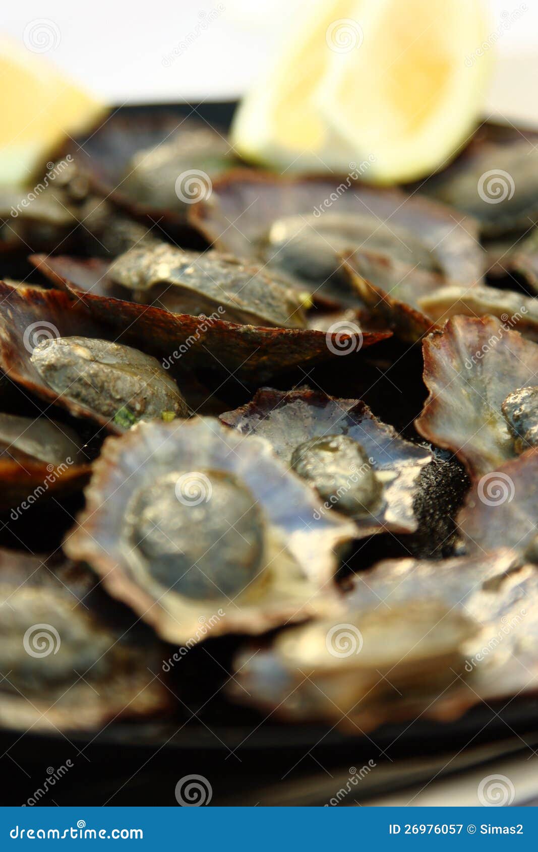 Grilled Limpets stock image. Image of dish, cooked, shellfish - 26976057