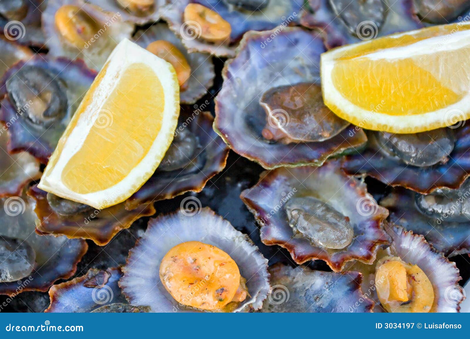 Grilled Limpets stock image. Image of gourmet, restaurant - 3034197