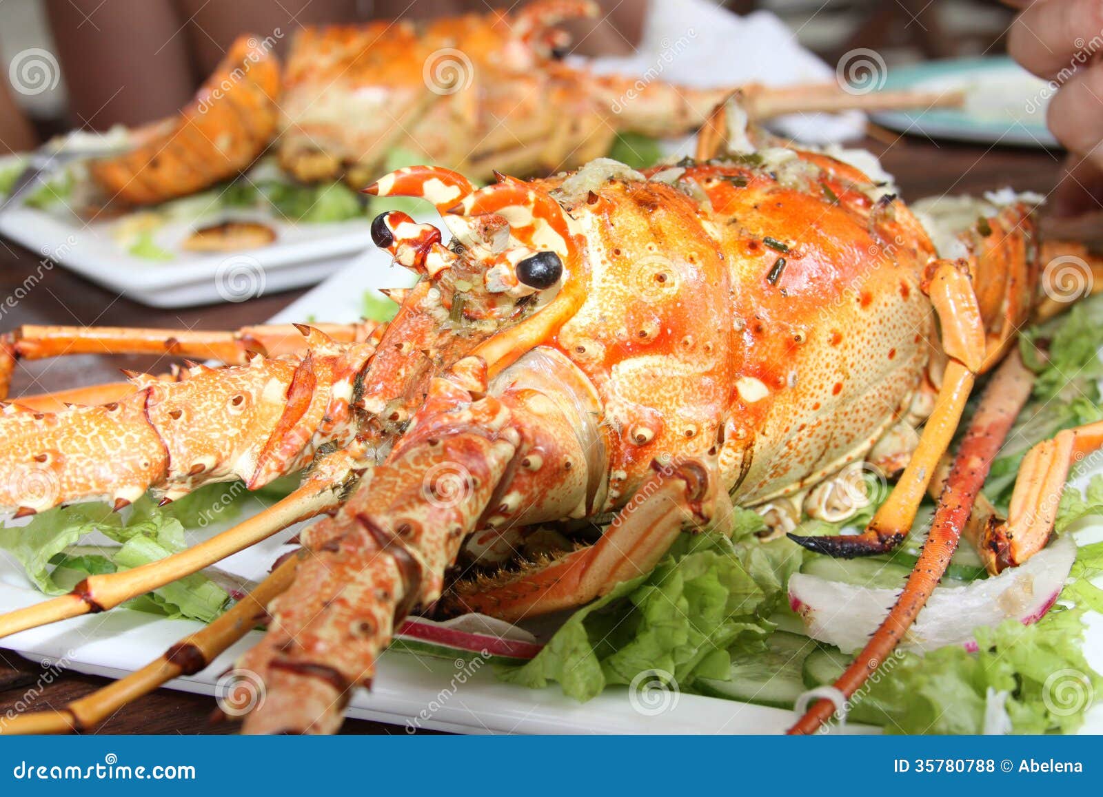 Grilled lobster in Cuba stock photo. Image of diet, lobster - 35780788