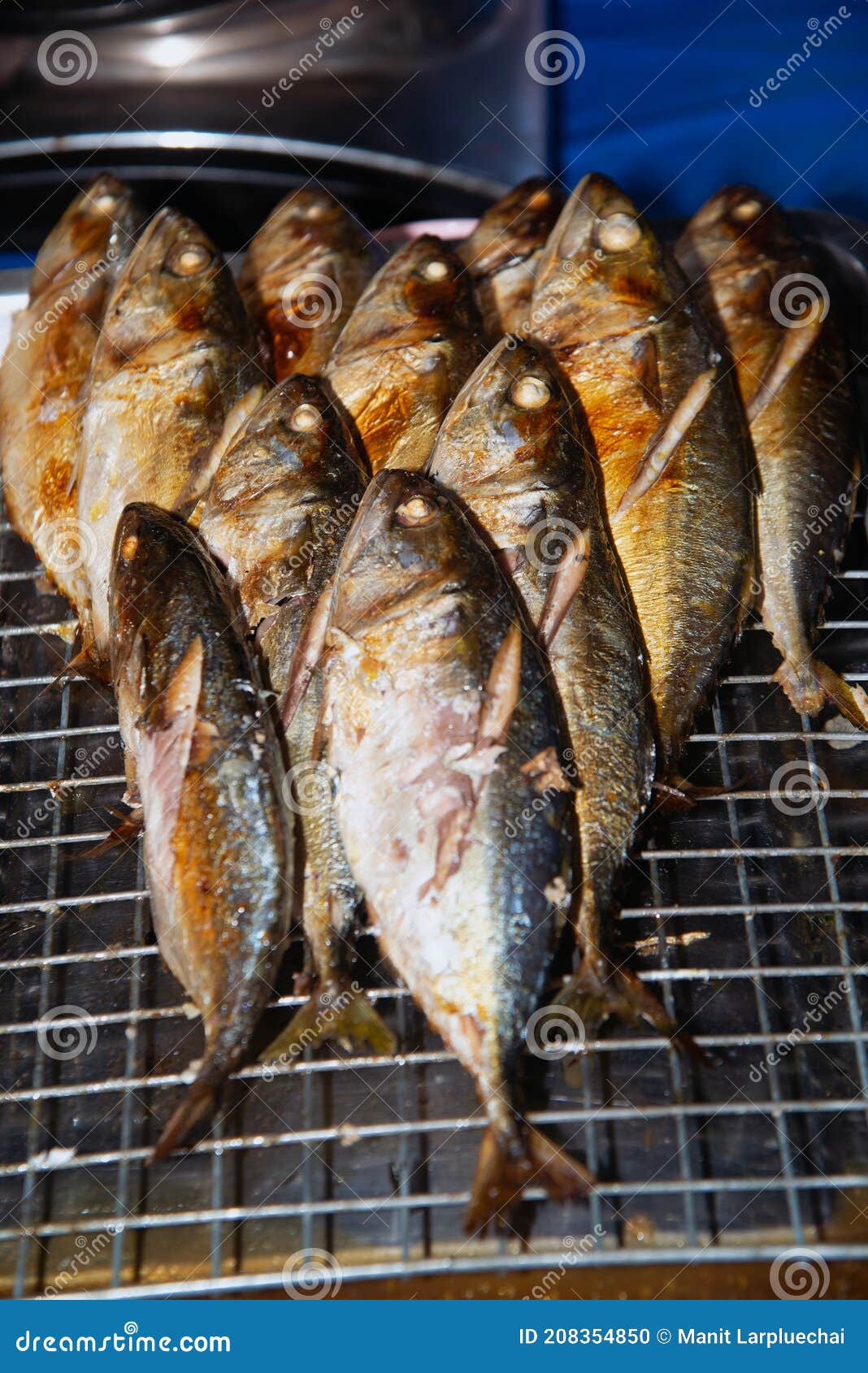 Grilled Mackerel Fish on a Steel Grating. Roasted Fish. Grilled Fish ...