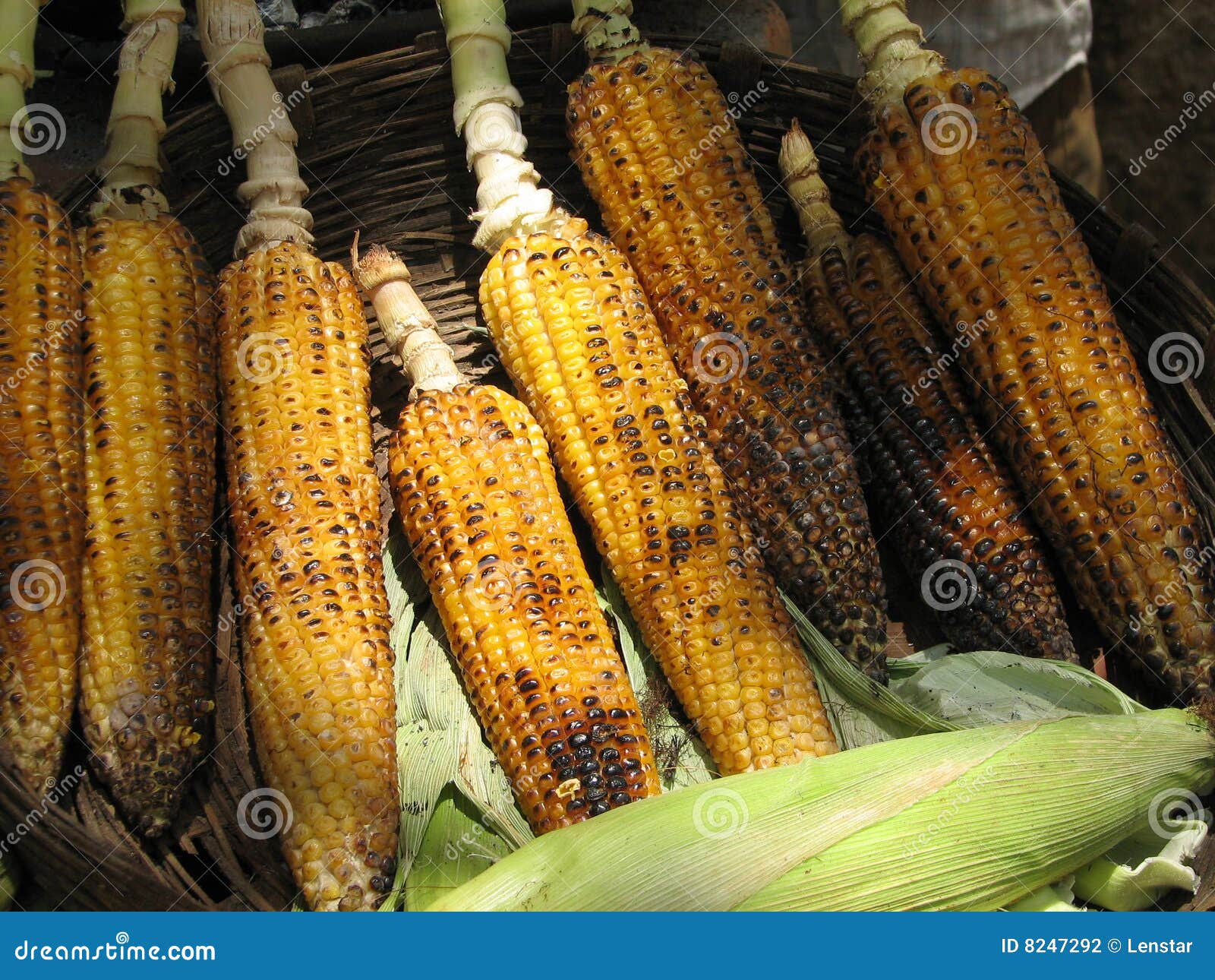 Grilled Maize Corn Picture. Image: 8247292
