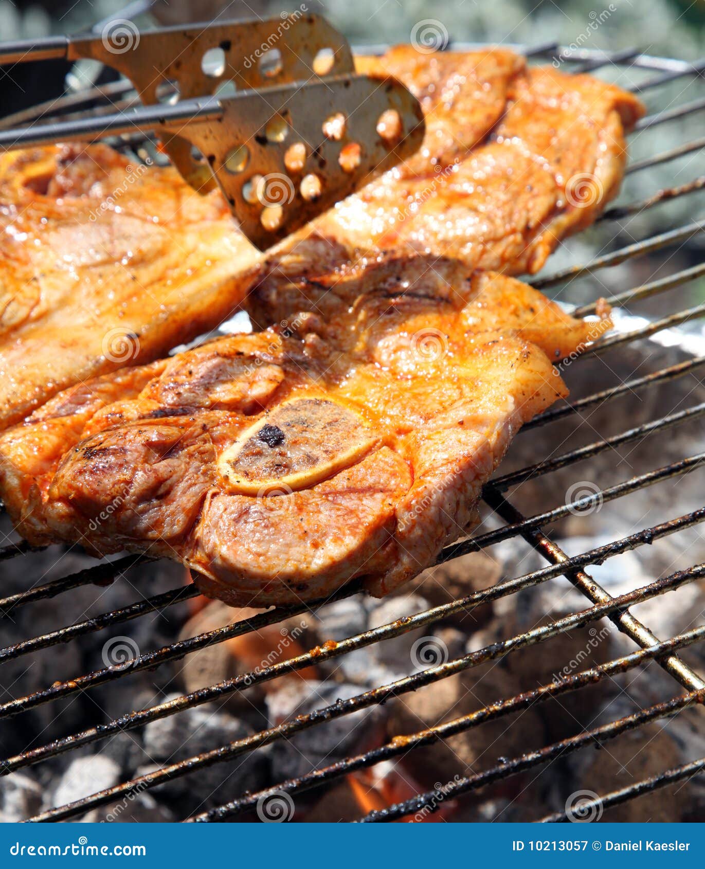 Grilled meat stock image. Image of food, meat, delicate - 10213057