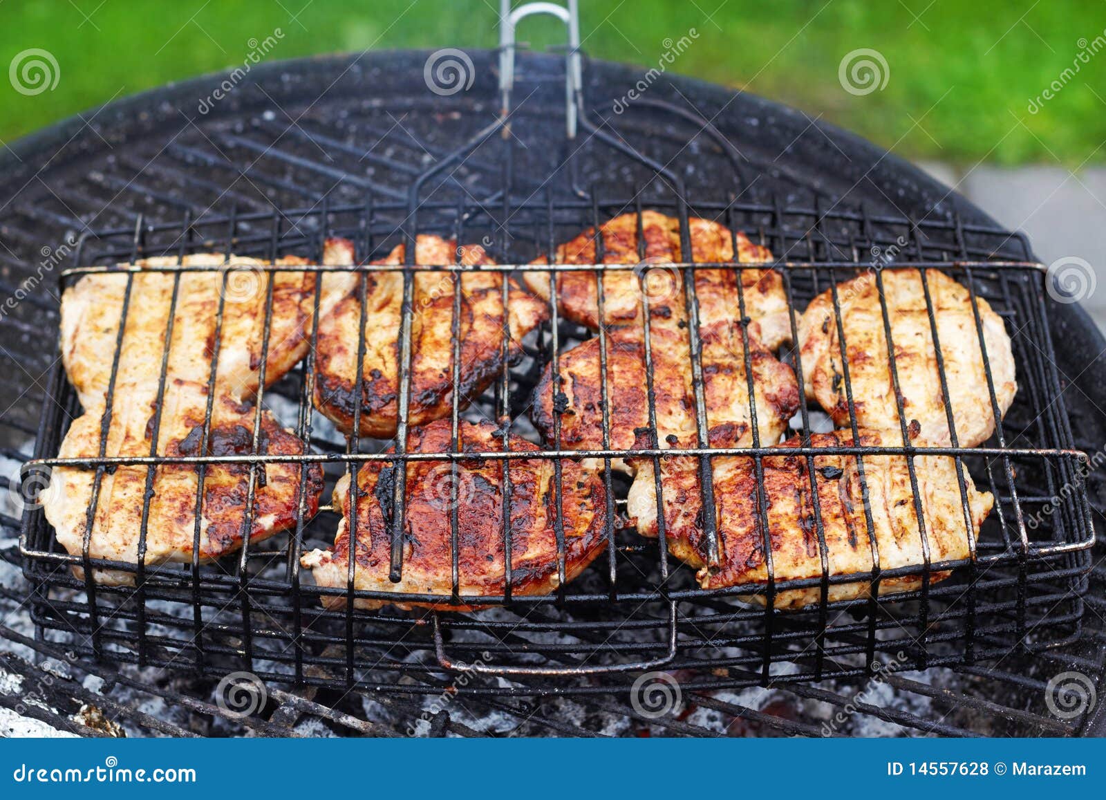 Grilled meat stock photo. Image of blaze, picnic, closeup - 14557628