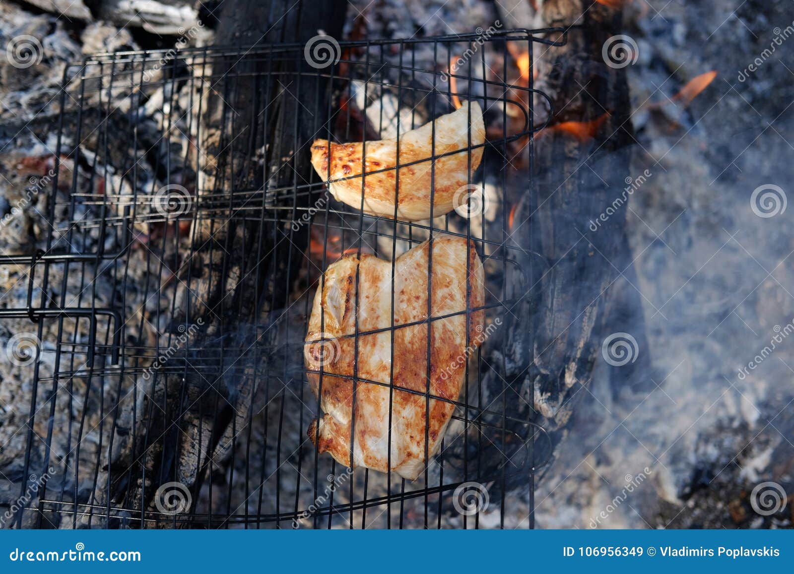 Grilled meat on a fire. stock image. Image of black - 106956349