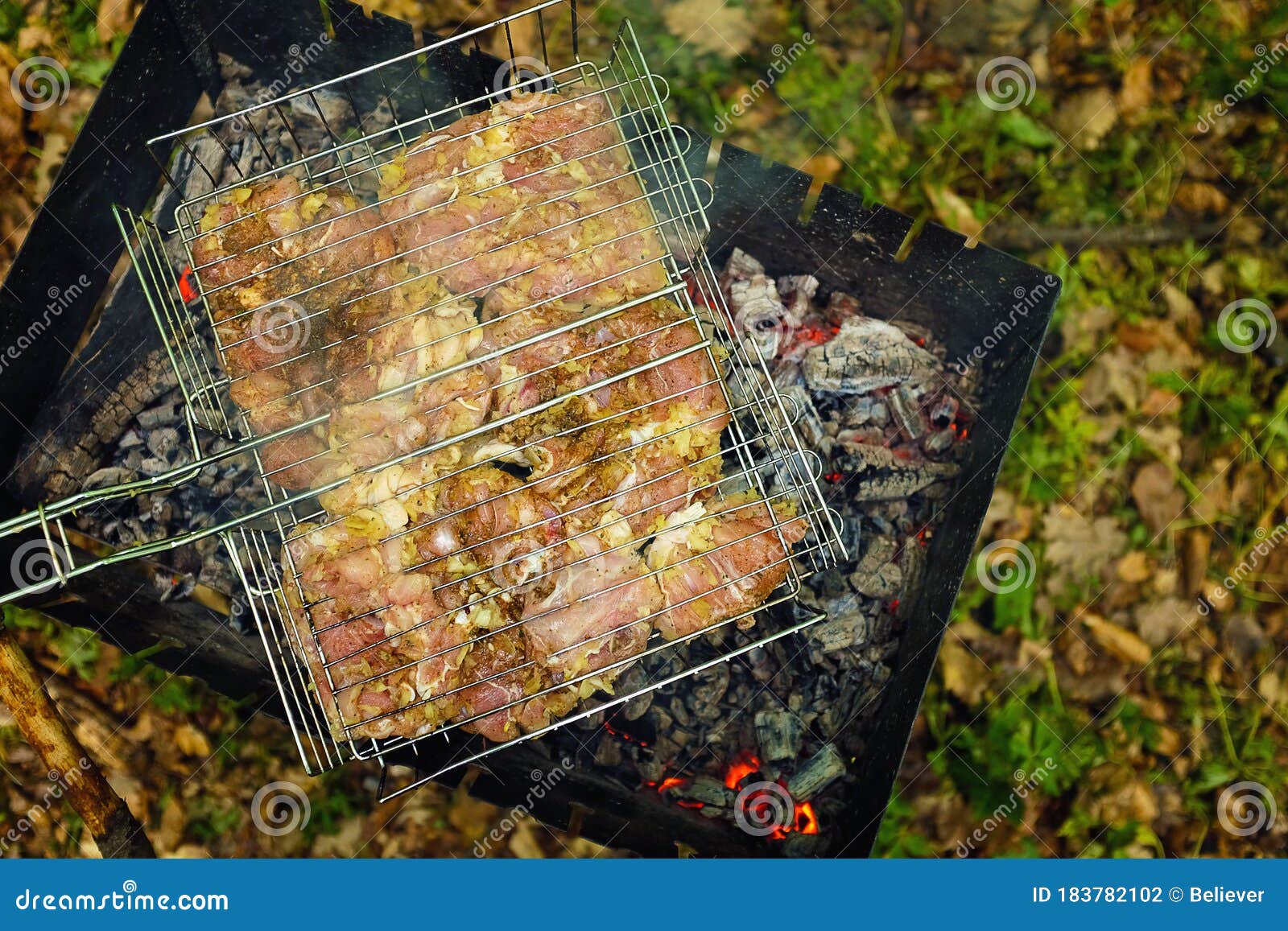 Grilled Meat on the Grill on a Background of Green-yellow Grass. Stock ...