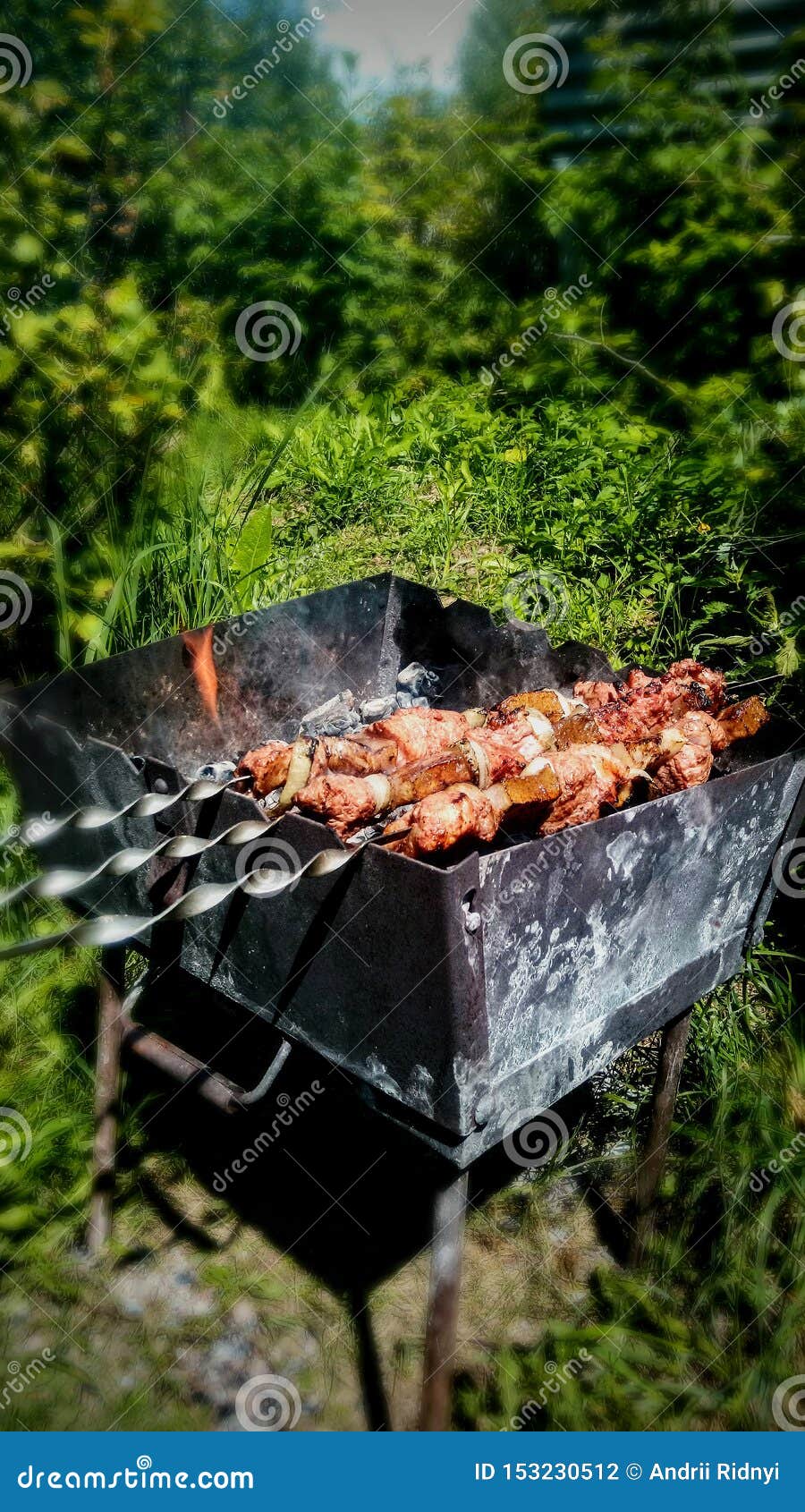 Grilled Meat on the Open Fire Stock Photo - Image of frizzle, detail ...