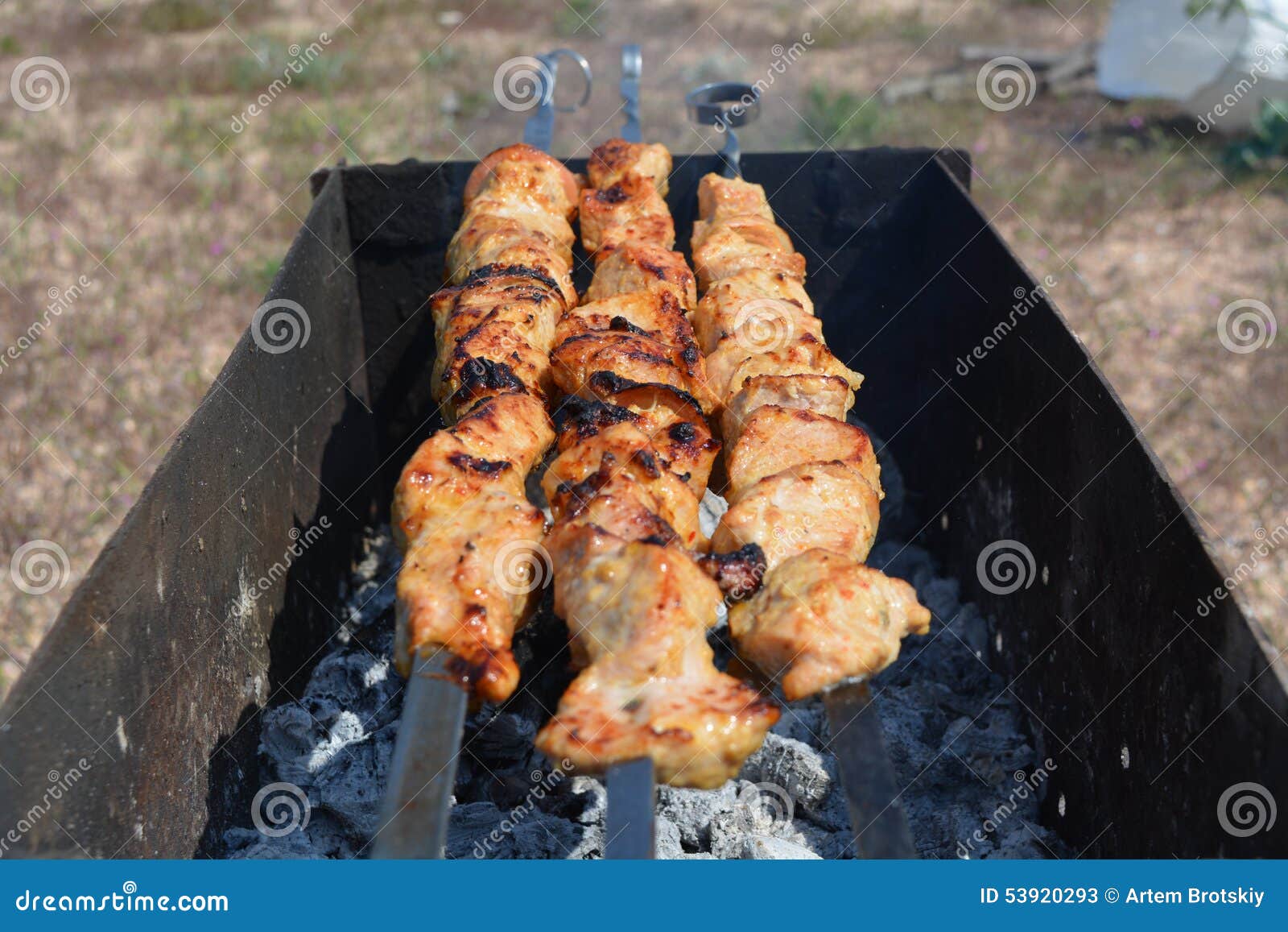 Grilled meat over a fire stock image. Image of skewer - 53920293