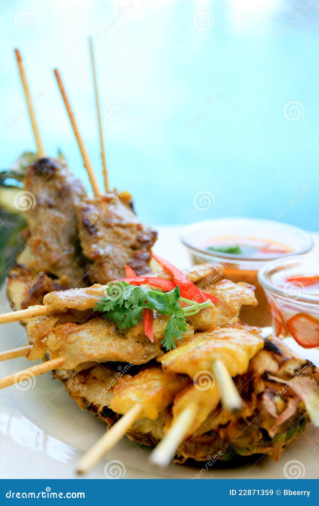 Grilled mixed satay stock image. Image of chicken, meat - 22871359