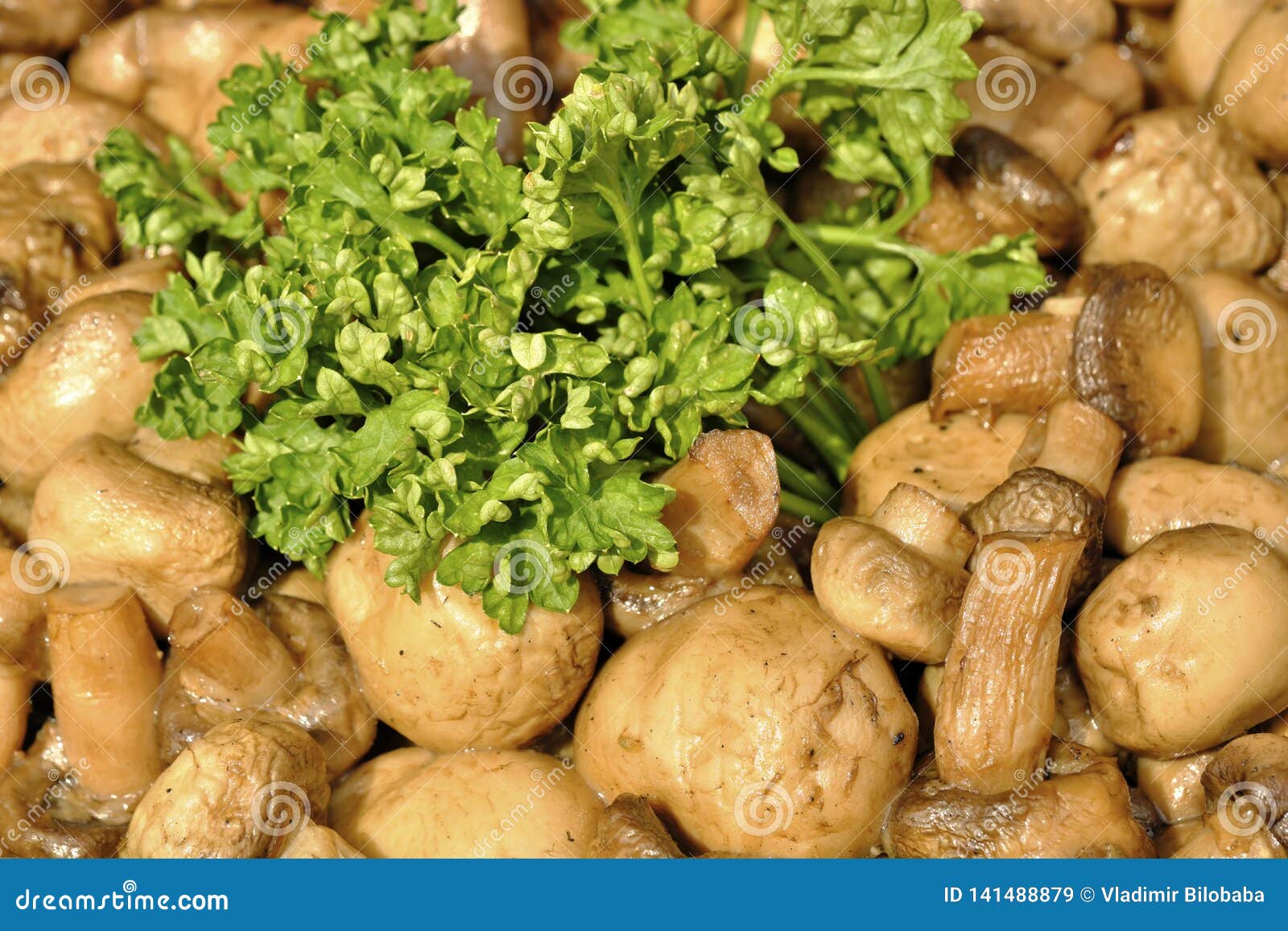 Grilled Mushrooms Champignons Stock Image - Image of champignons ...