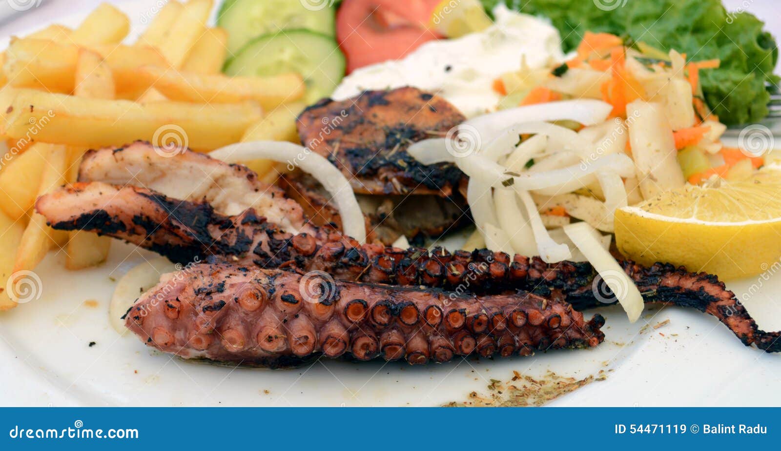 Grilled octopus stock image. Image of octopus, salad - 54471119