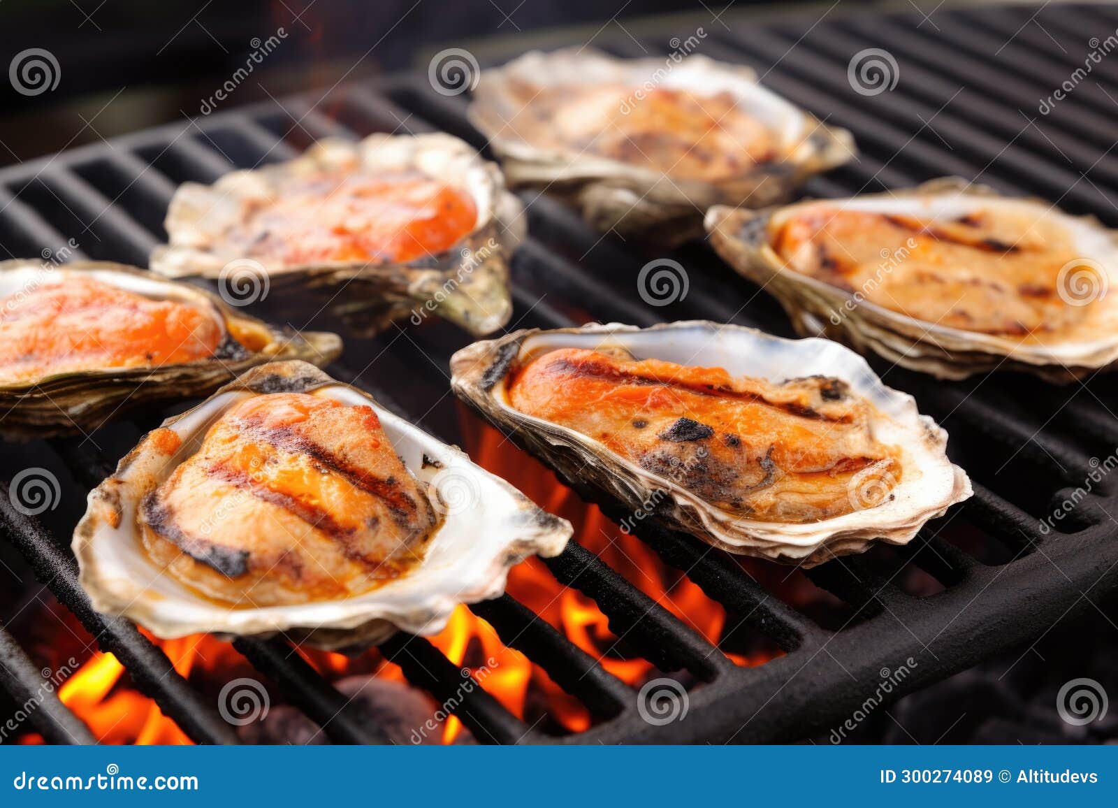 Grilled Oysters in Shell with Grill Marks Stock Image - Image of ...