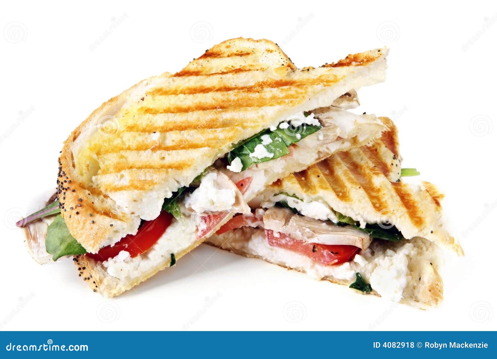 Grilled Panini stock photo. Image of panini, vegetable - 4082918