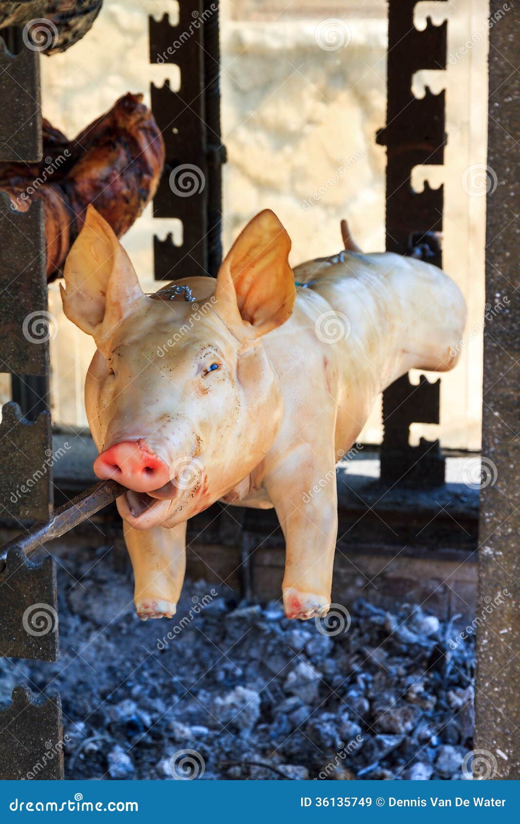 Grilled pig stock image. Image of barbecue, meat, animal - 36135749