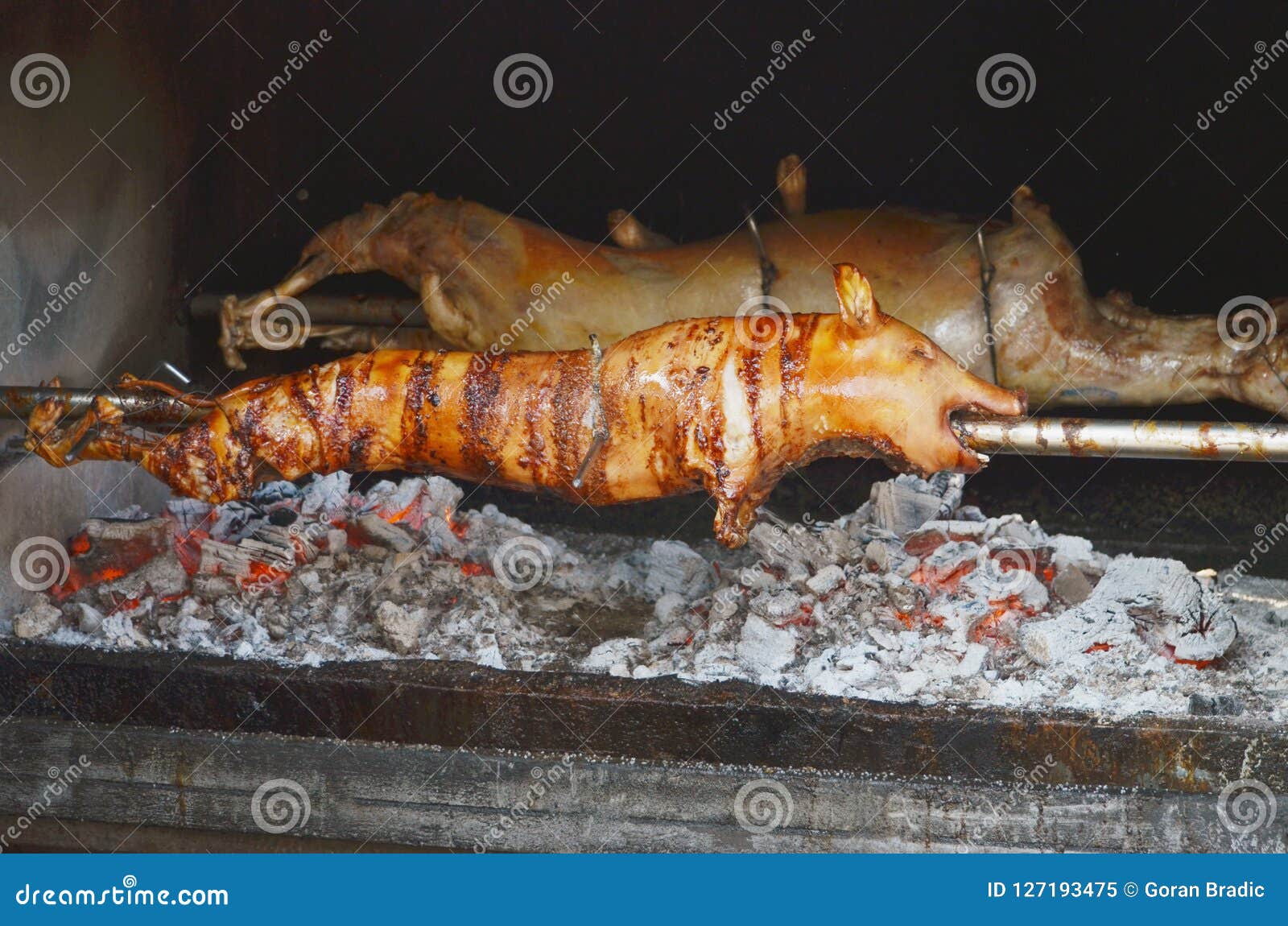 Grilled pig. roasted pig stock image. Image of restoraunt - 127193475
