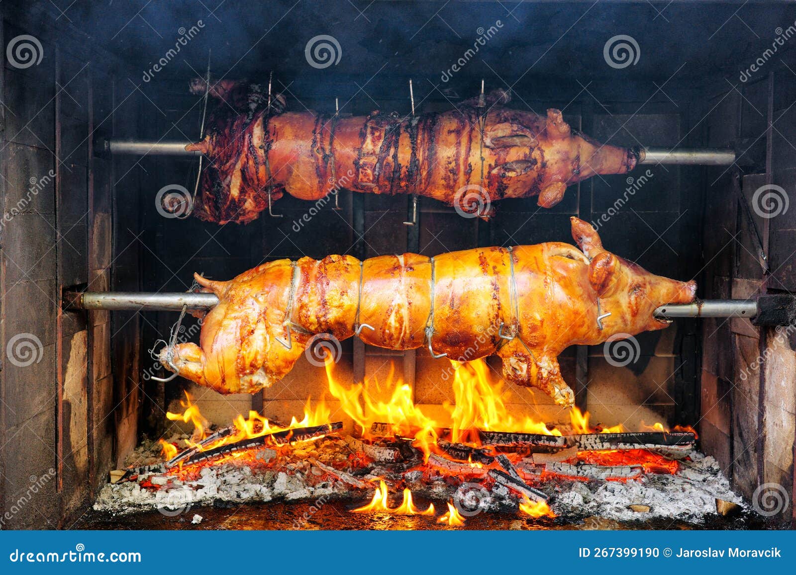 Grilled pigs on the grill stock photo. Image of cooking - 267399190