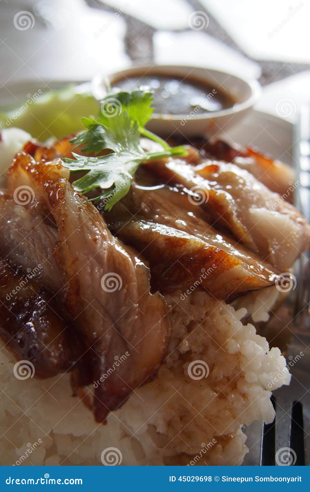 Grilled pork with rice stock photo. Image of grilled - 45029698