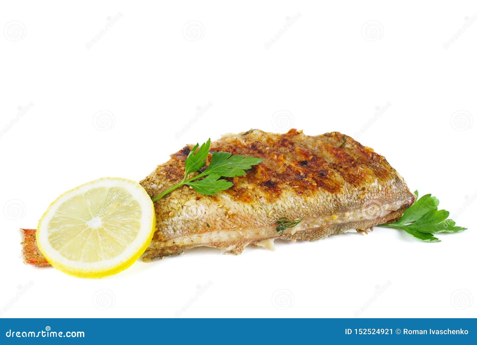 Grilled red perch fish stock image. Image of background - 152524921