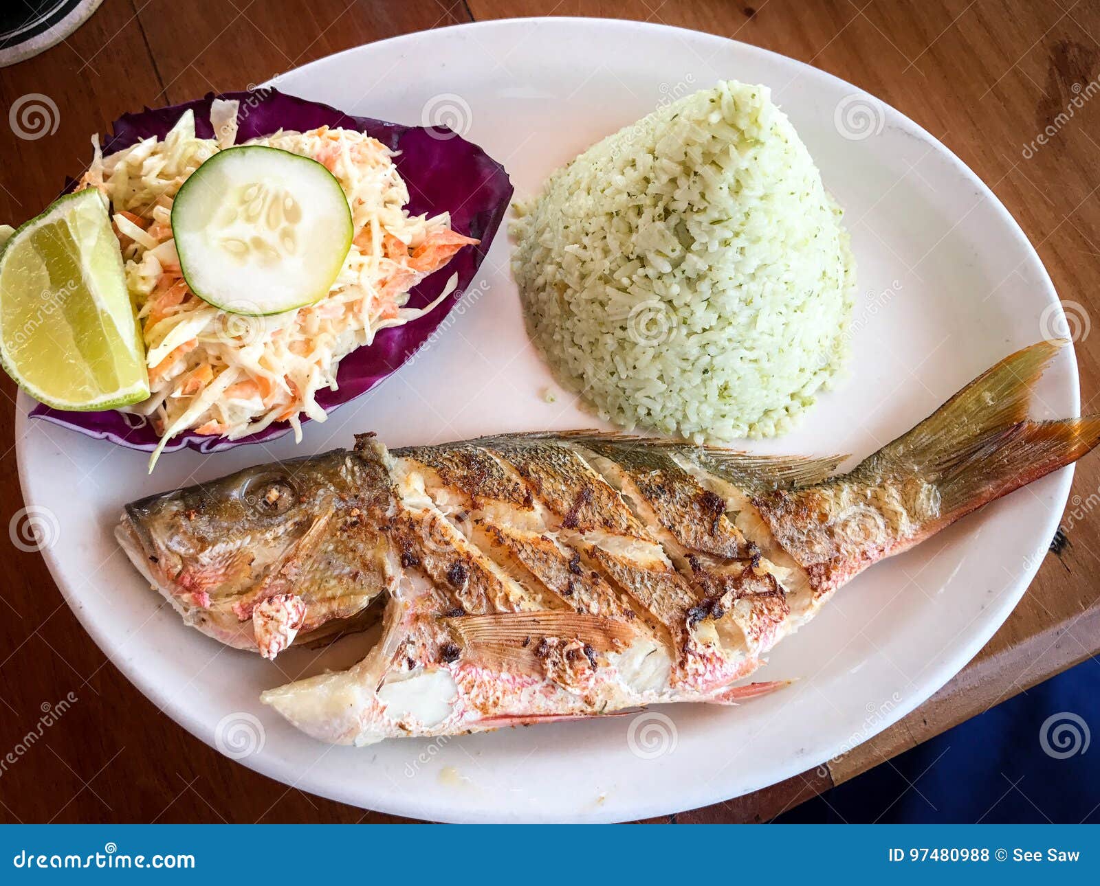 Grilled Red Snapper with Rice and Cole Slaw. Stock Photo - Image of ...