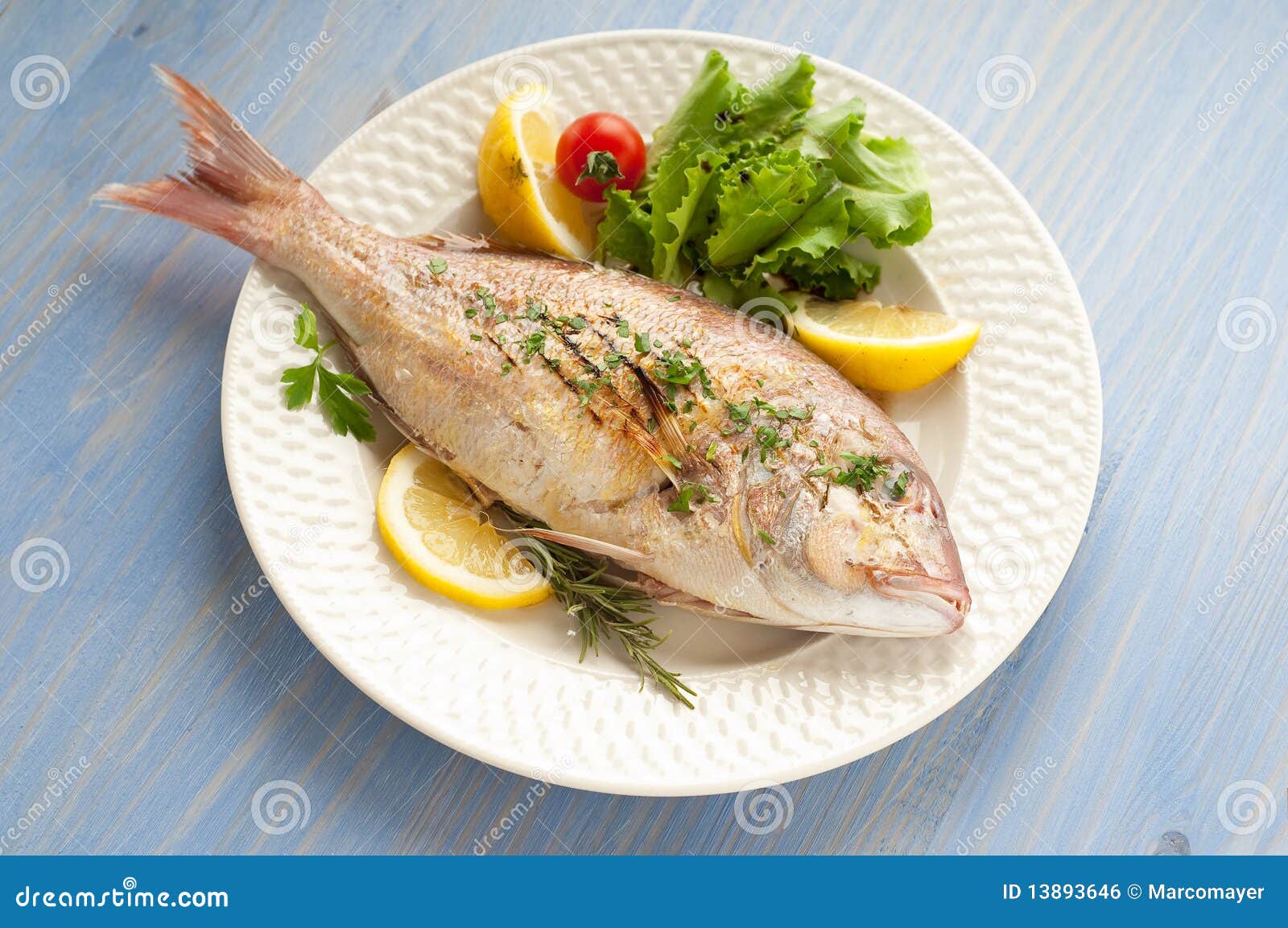 Grilled Red Snapper with Salad Stock Photo - Image of dive, dish: 13893646