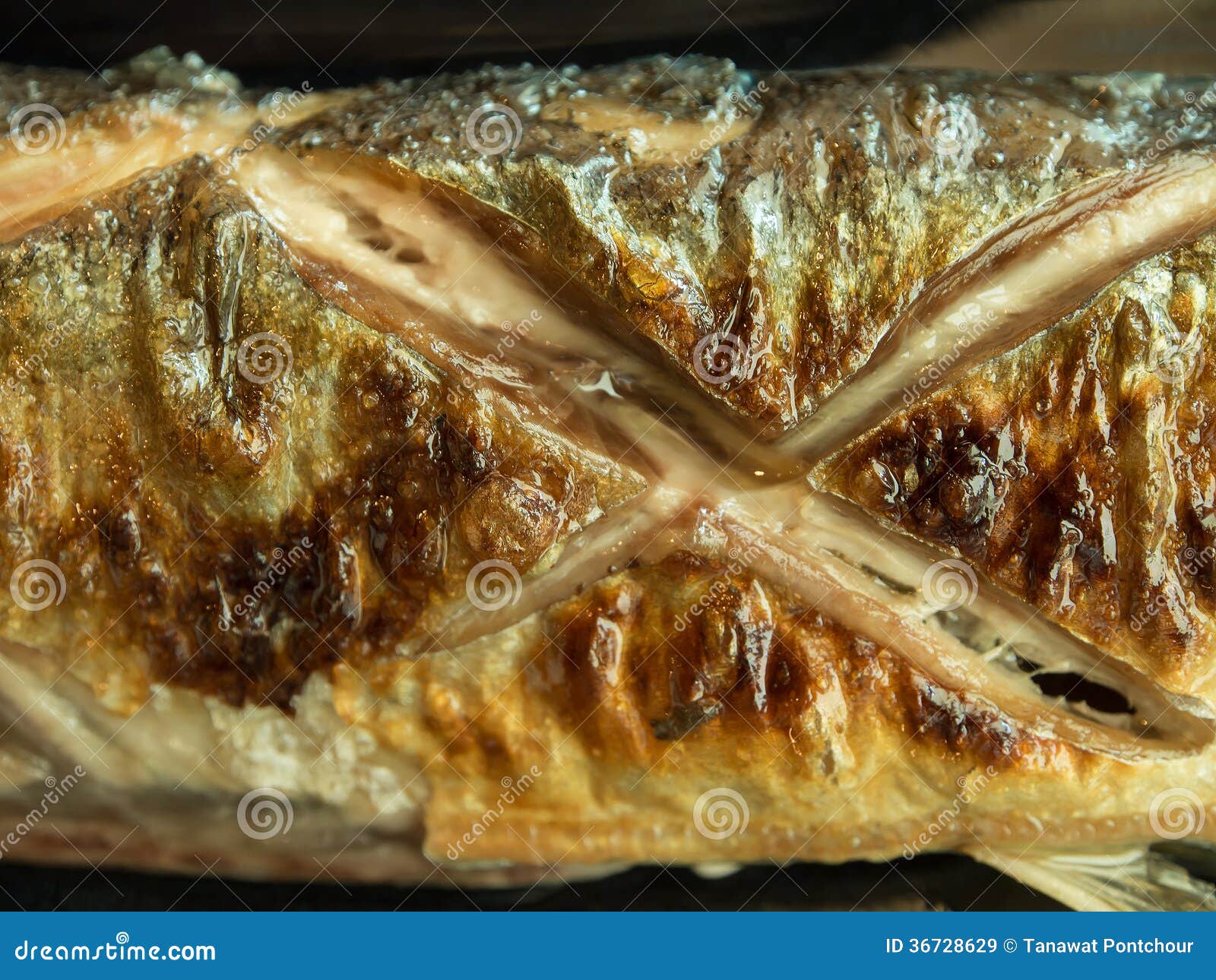 Grilled saba mackerel stock image. Image of dinner, diet - 36728629