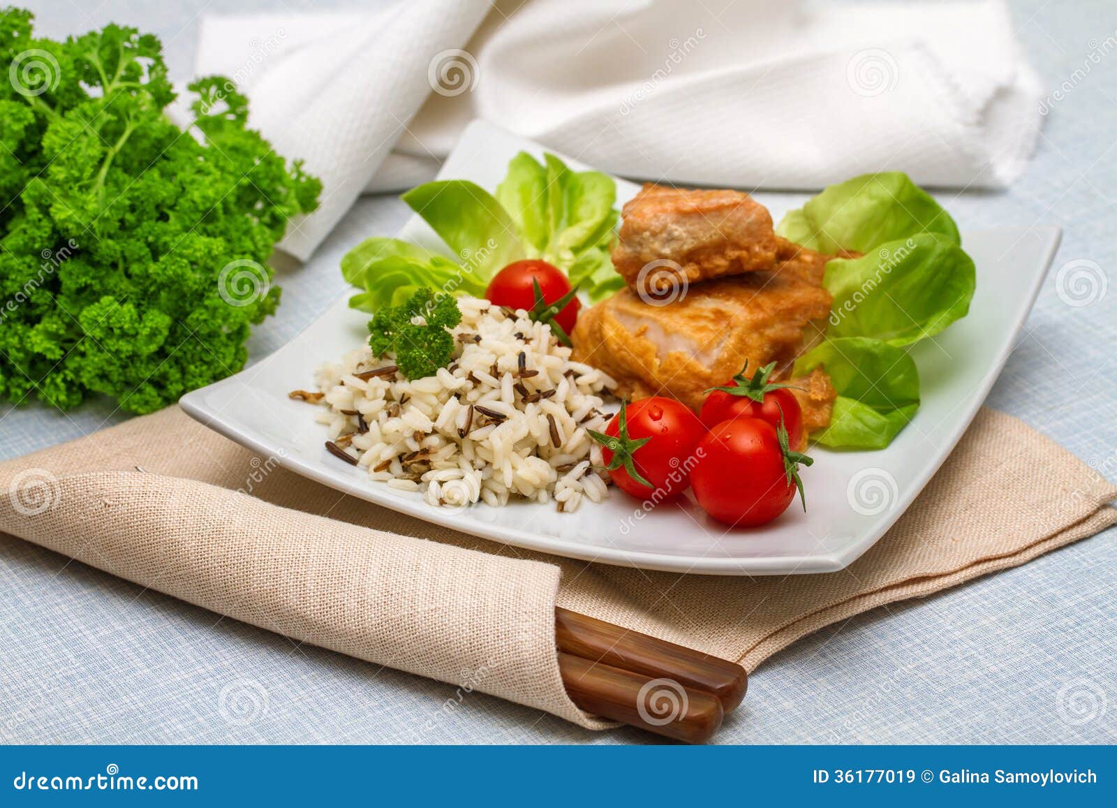 Grilled Salmon Fillet with Rice Stock Image - Image of seafood, rice ...