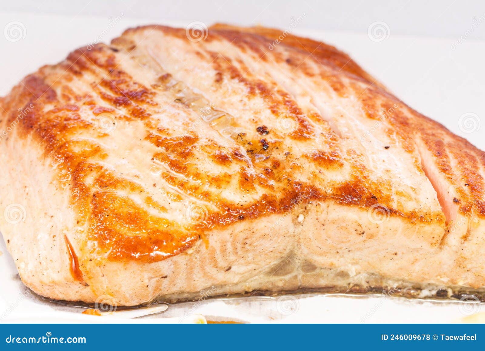 Grilled Salmon Isolated on White Background Stock Photo - Image of ...