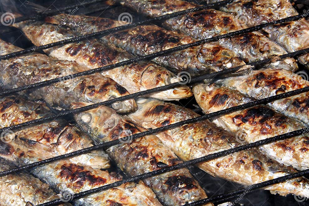 Grilled sardines stock photo. Image of grilling, baked - 9883026