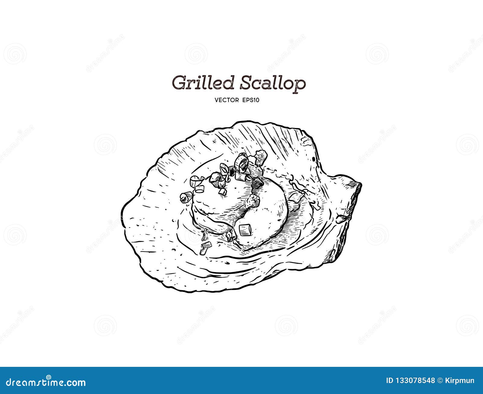 Scallop Shell - Vector Linear Full Color Zentangle Illustration - With ...