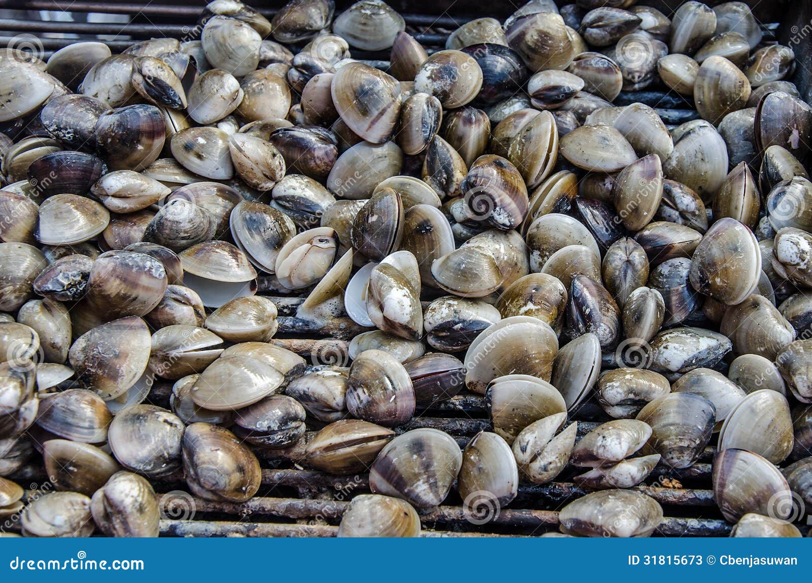 Grilled shell seafood stock image. Image of ingredient - 31815673