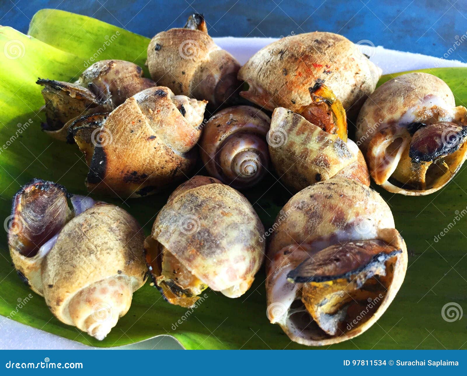 Grilled snails stock photo. Image of banana, cuisine - 97811534