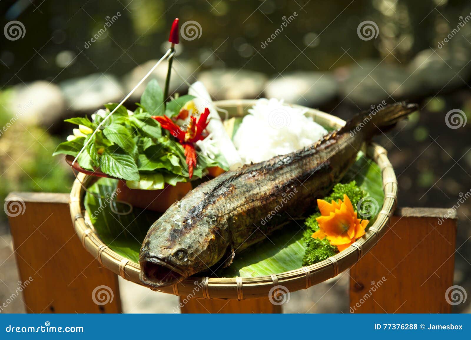 Grilled snake head fish stock photo. Image of calorie - 77376288