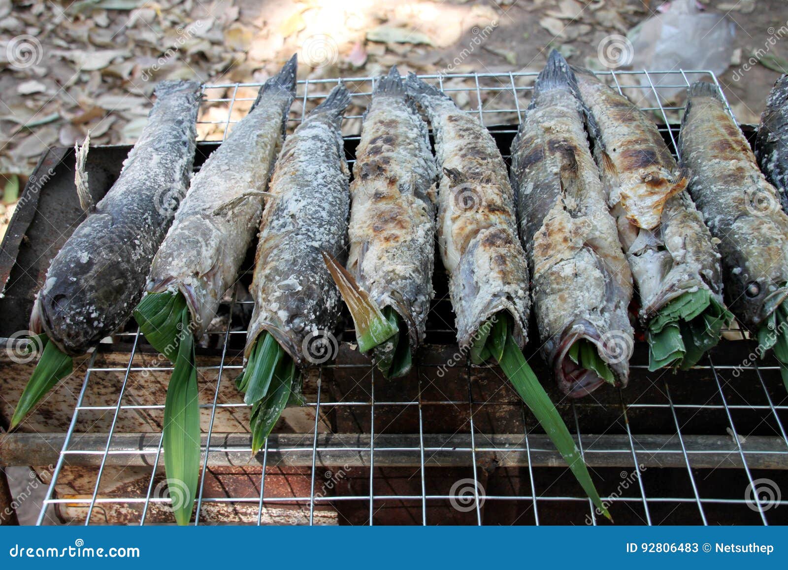 Grilled snake-head fishes stock image. Image of black - 92806483