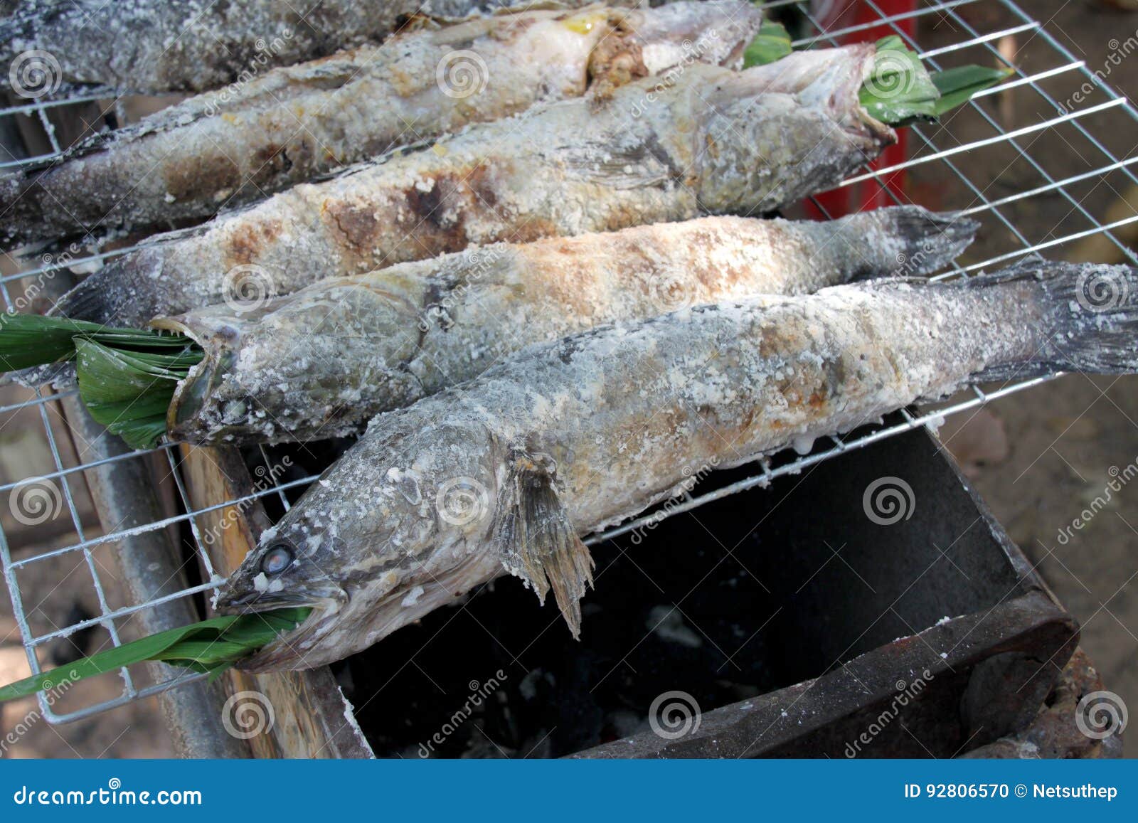 Grilled snake-head fishes stock photo. Image of arranged - 92806570