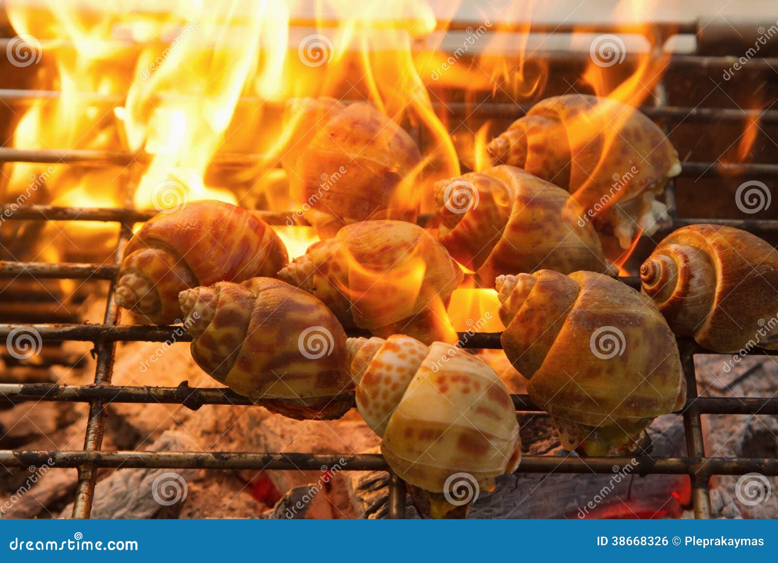 Grilled Spotted Babylon Shell on Flaming Stock Photo - Image of spain ...