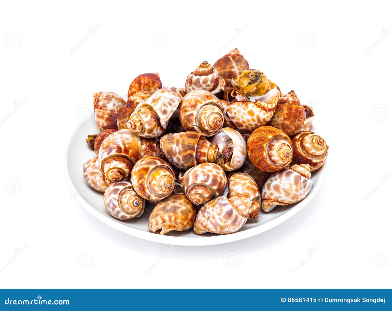 Grilled Babylonia Areolata In Spicy Salt Royalty-Free Stock Photo ...