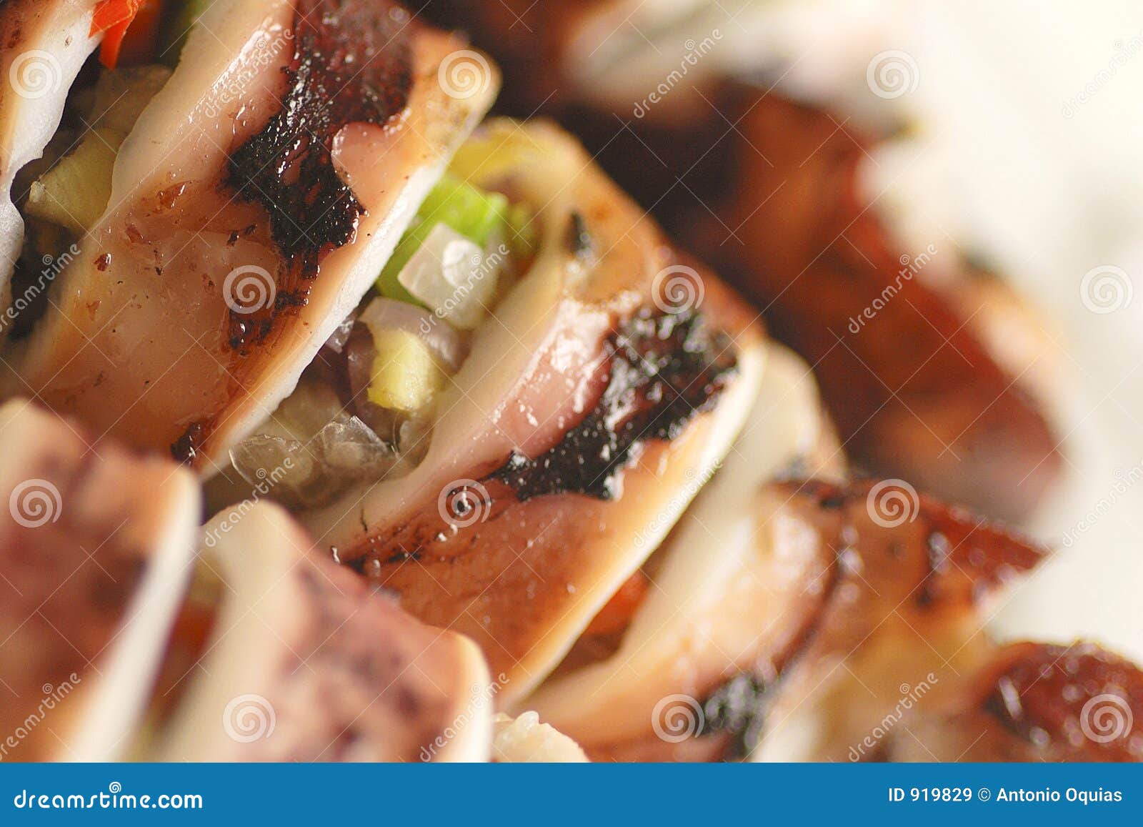 Grilled squid stock image. Image of salt, burn, cook, pepper - 919829