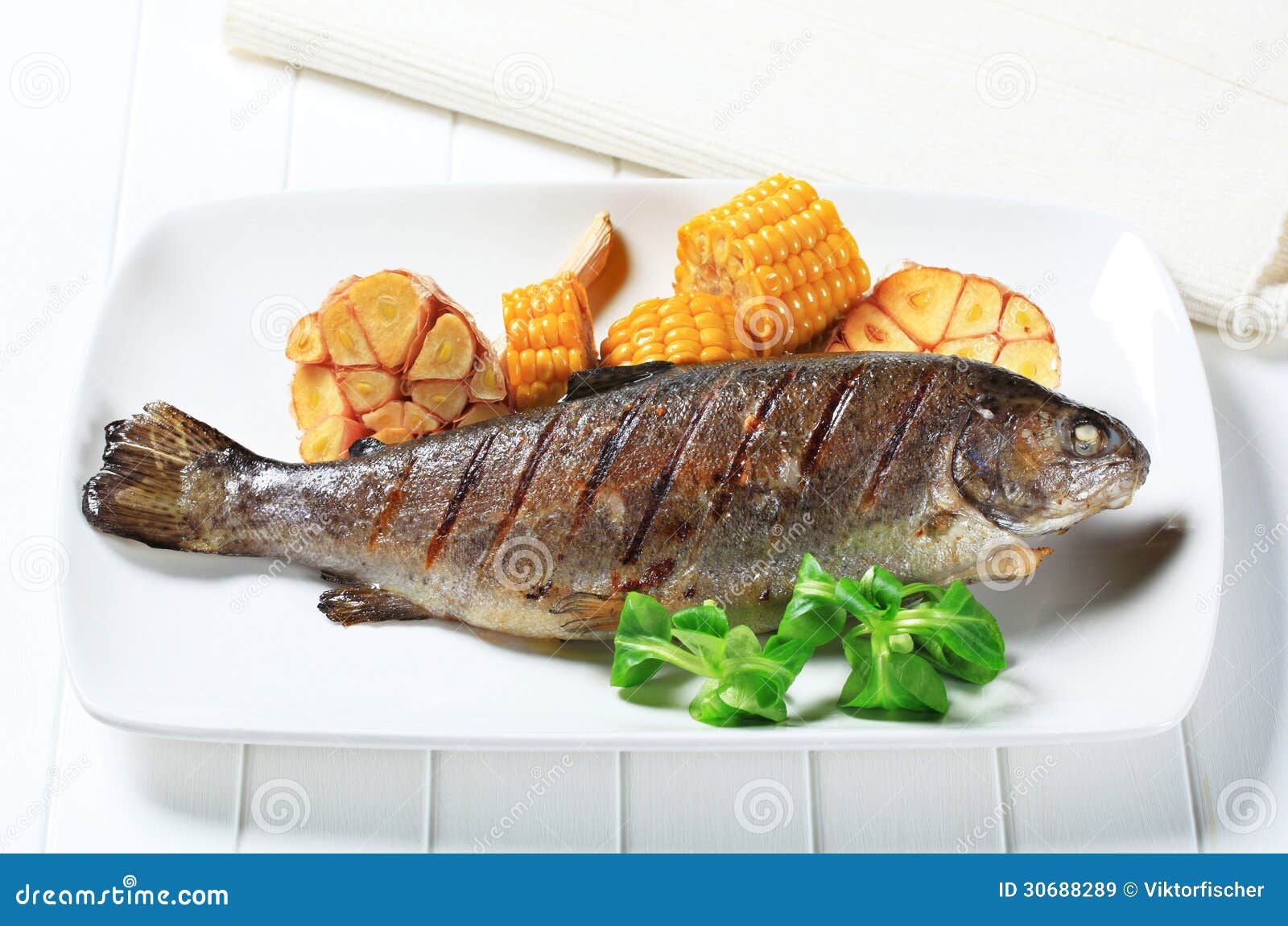Grilled trout stock image. Image of grilled, food, plate - 30688289