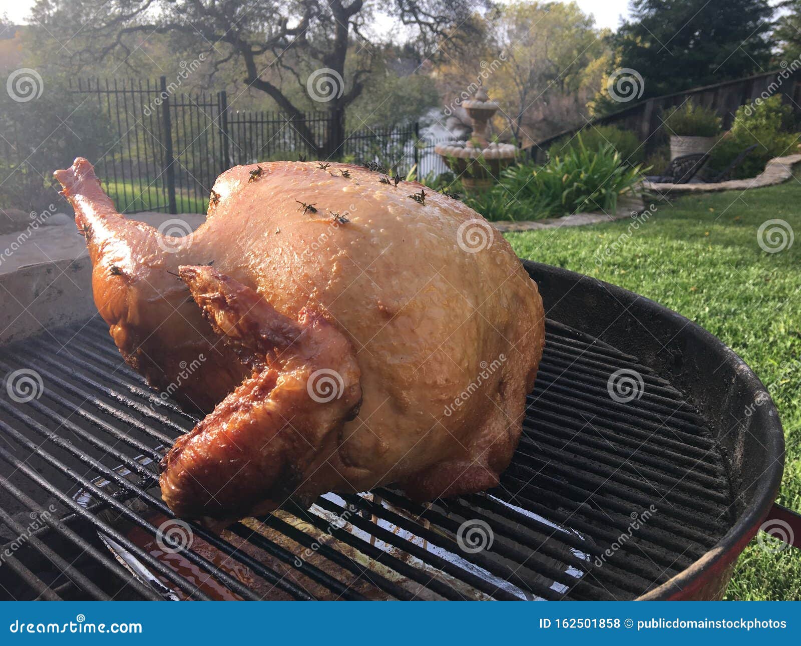 Grilled Turkey Picture. Image: 162501858